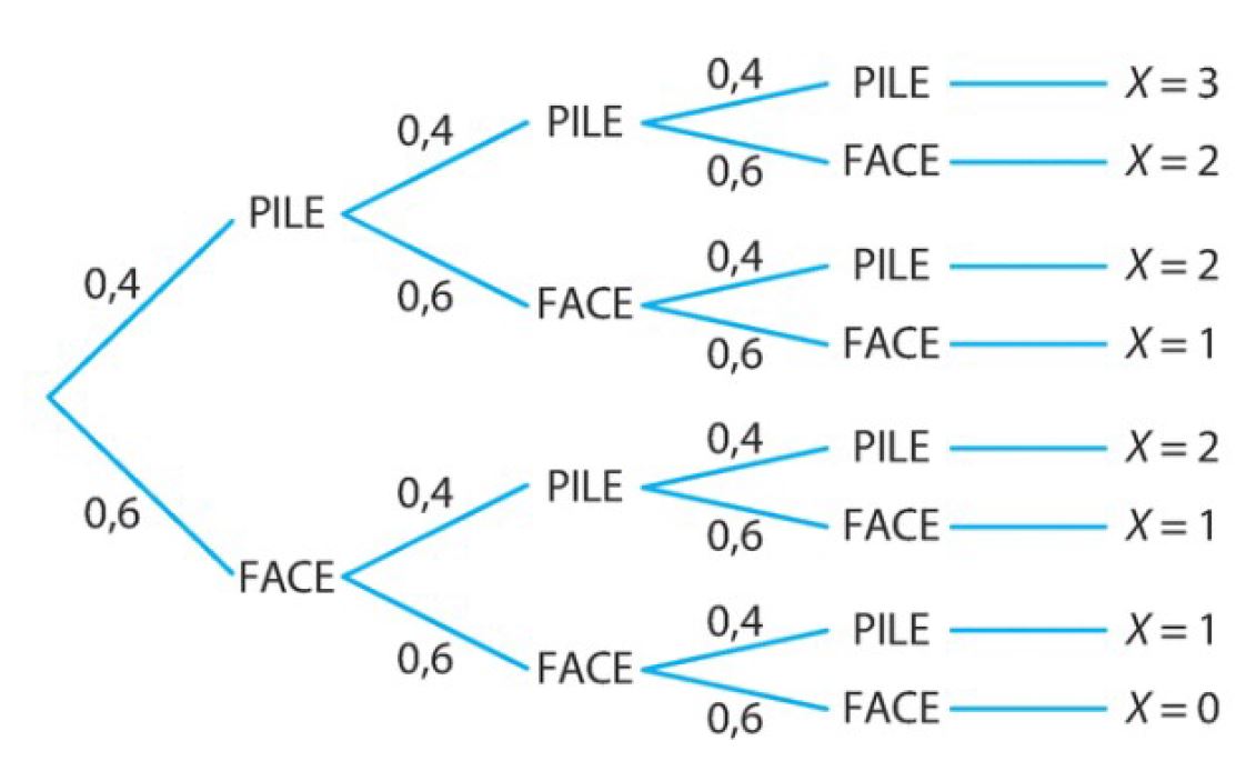 Loi binomiale : la fiche de révision - L'Etudiant