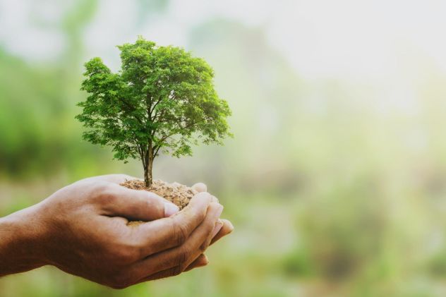 BUT PEC - packaging, emballage et conditionnement - (ex-DUT PEC) - L ...