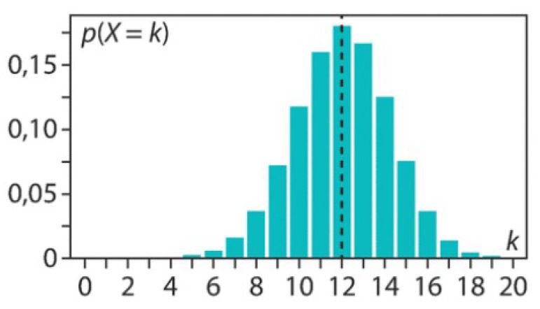 Loi binomiale : la fiche de révision - L'Etudiant