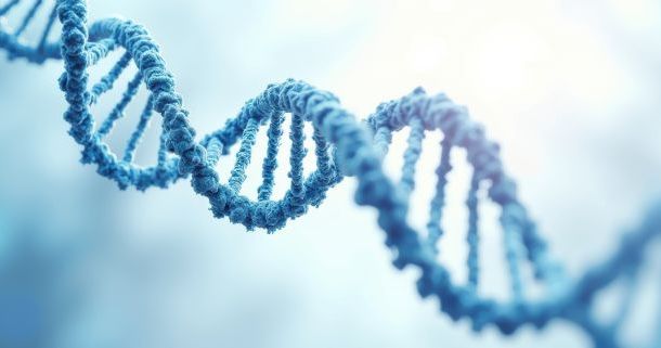 Cours HLP Terminale : l’humain et ses limites - La bioéthique - L'Etudiant