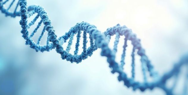 Cours HLP Terminale : l’humain et ses limites - La bioéthique - L'Etudiant