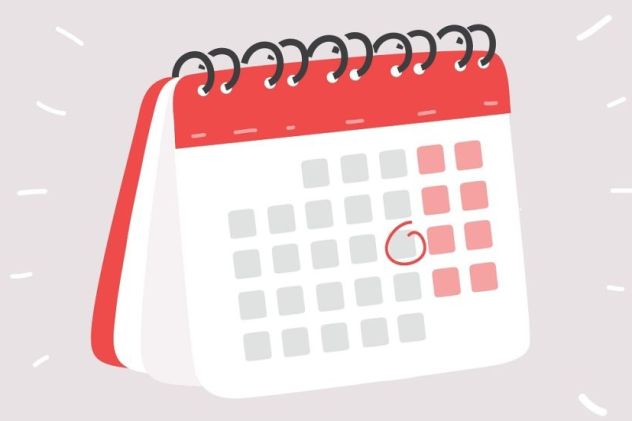 Vacances scolaires 2025-2026 et jours fériés : le calendrier avec ...