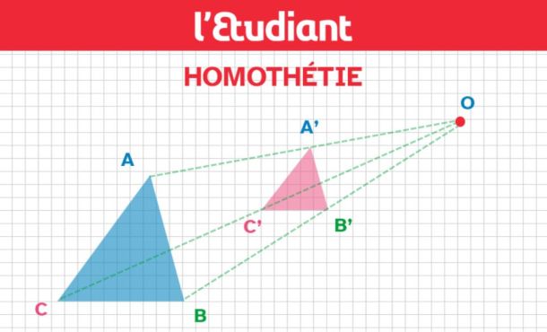 Qu’est-ce que l'homothétie ? - L'Etudiant