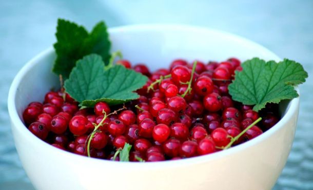 Que faire avec des groseilles ? 4 recettes faciles et trop bonnes - L ...